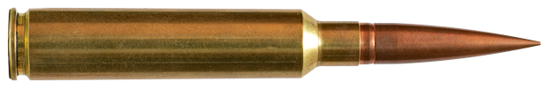 Novedades Municion, ammunitions